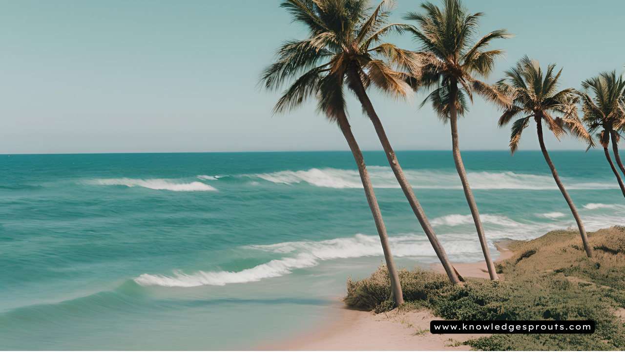 33 Similes for Beautiful: Striking Similes for Describing Elegance